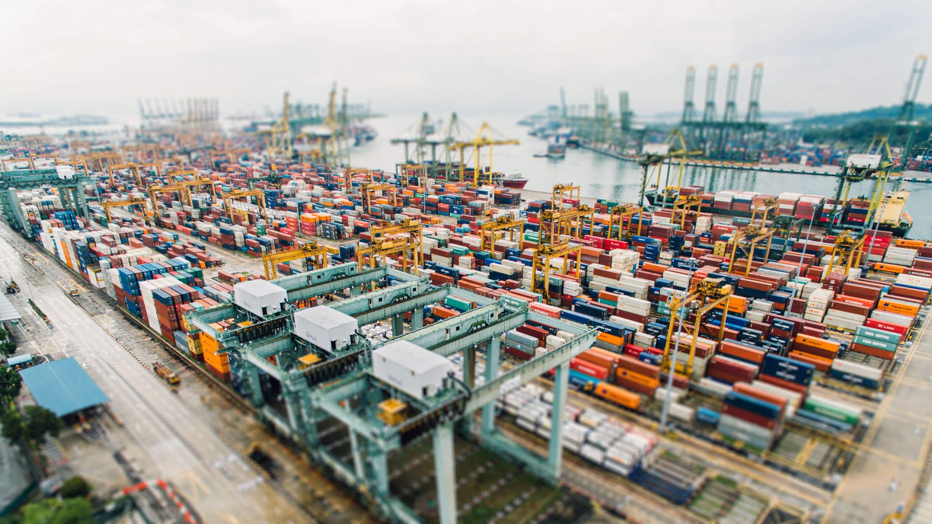 HEXAGON Import & Export | FMCG – Food – Non-Food – Investments